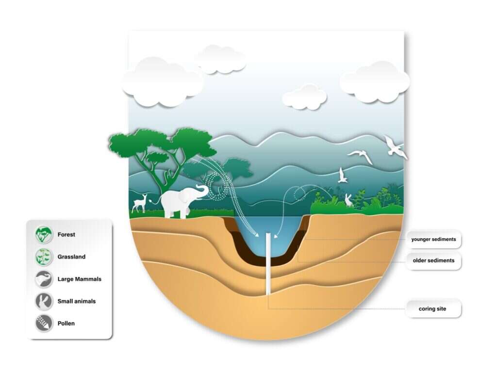 Amsterdam’s fig trees are showing why cities will play a vital role in ...